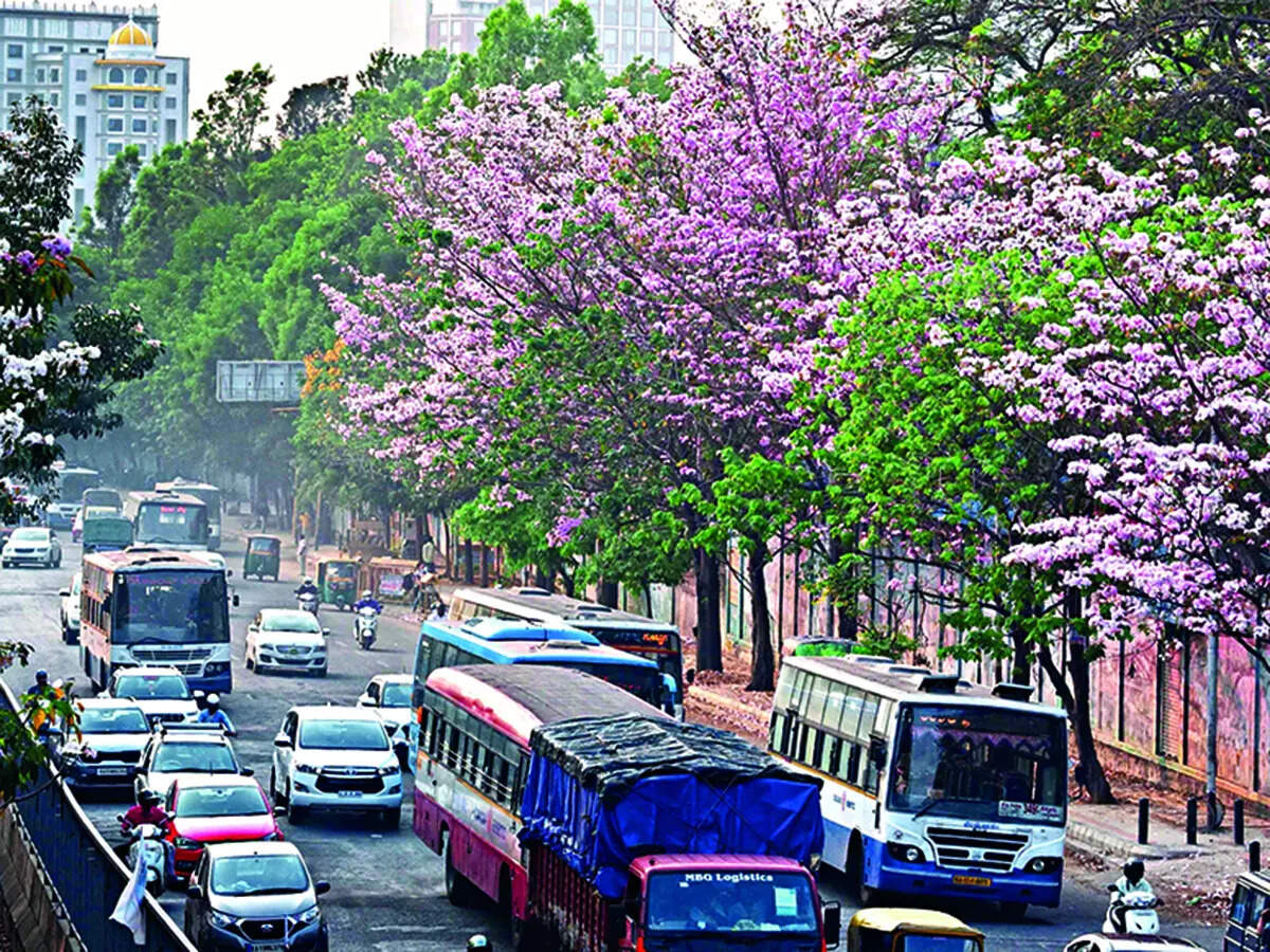 Tree census: An app to check tree’s health