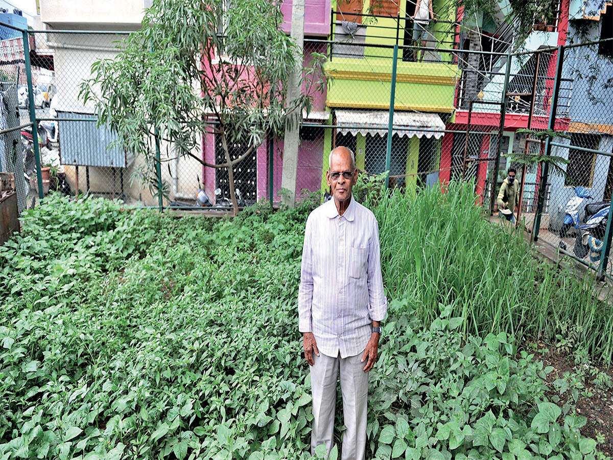 An empty plot turns into a gardener’s heaven on earth