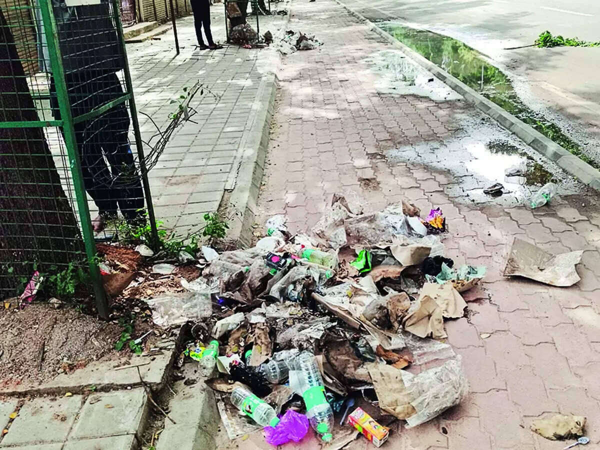 BBMP’s Clean Sweep: Tree Guard Cleanup Earns High Praise