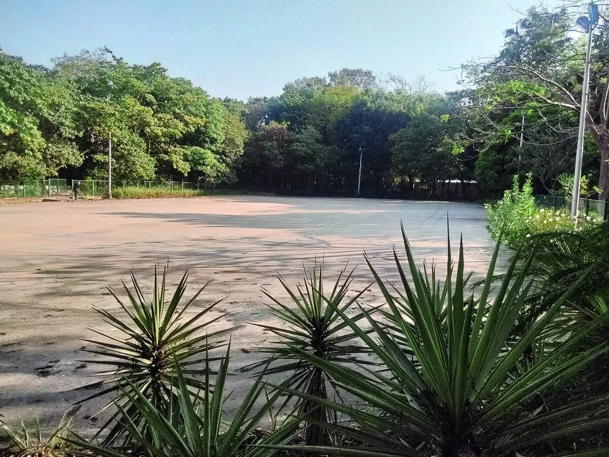 The rink
