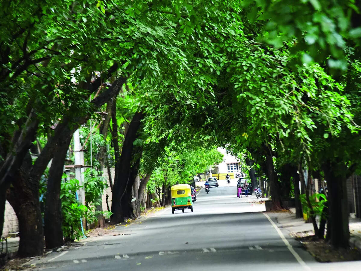 Paint the town green