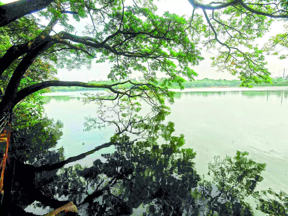 lakes: App for lakes