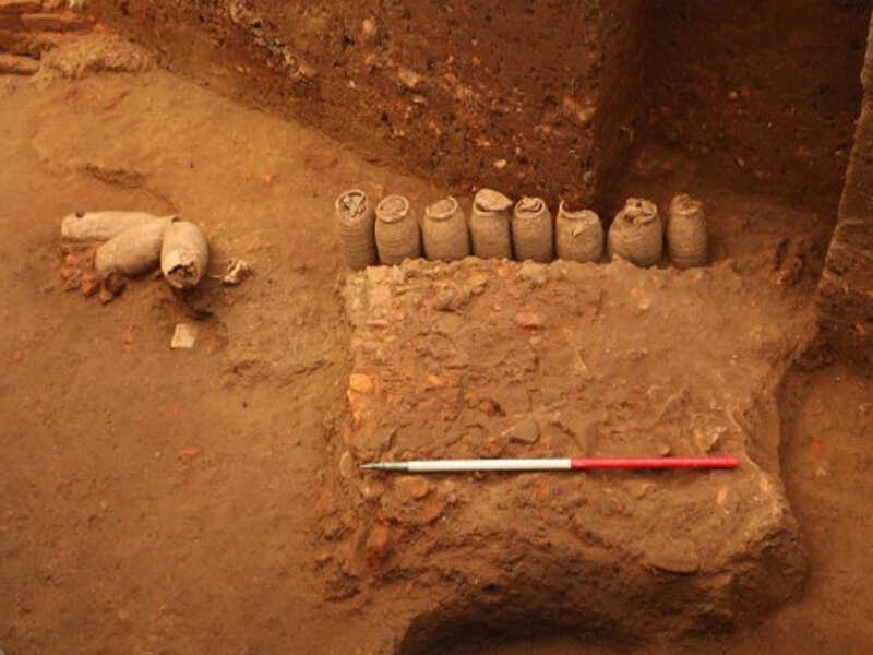 'Pattanam was the Mohenjo-daro of South India' | Chennai News - Times ...