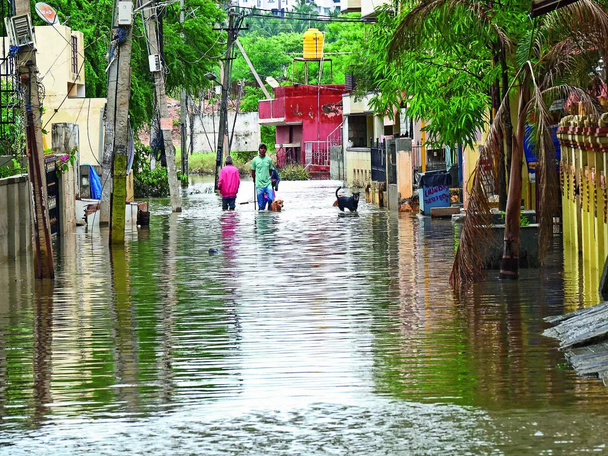 Flood aftermath: Damage and distress hold sway
