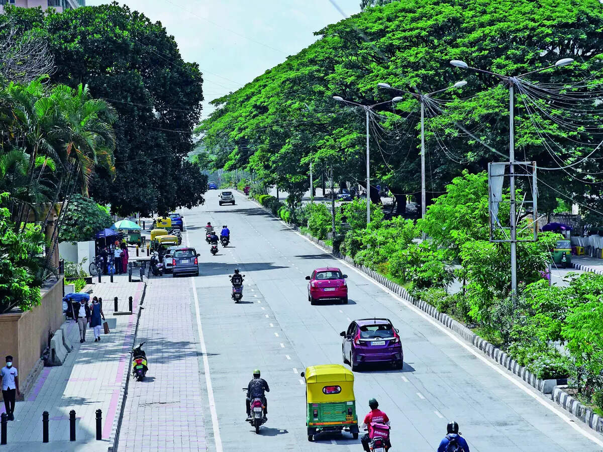 Life in the slow lane