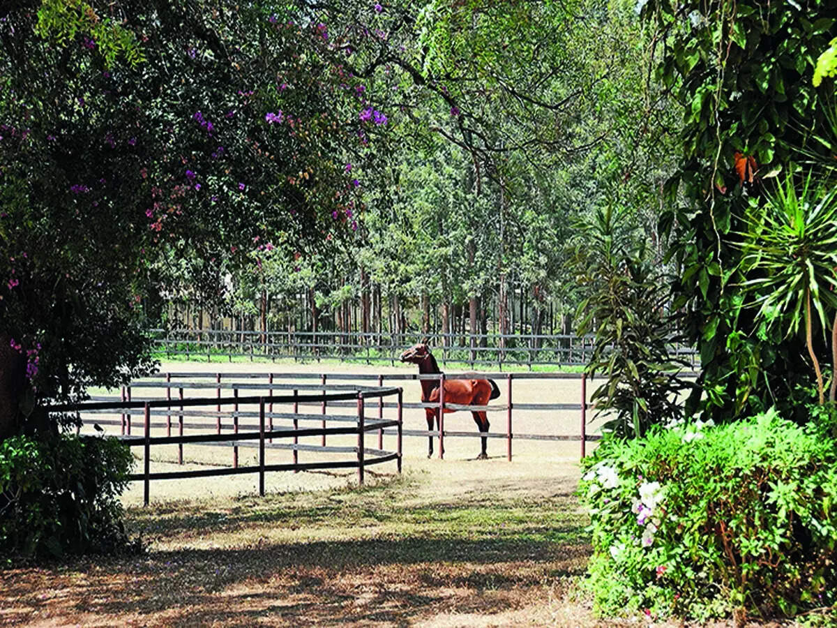 Racecourse threatens to raze Kunigal’s horse breeding legacy
