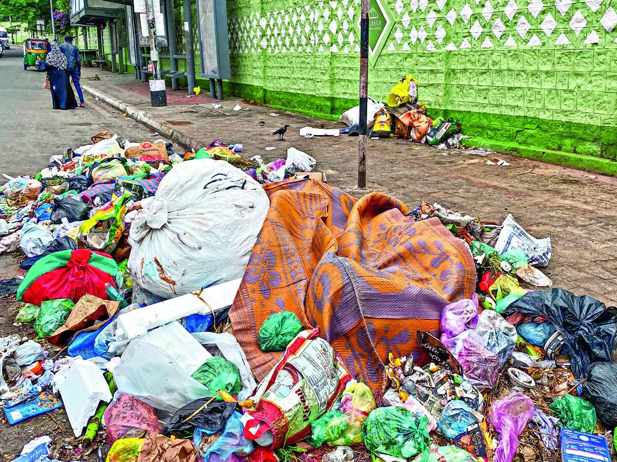 The waste land