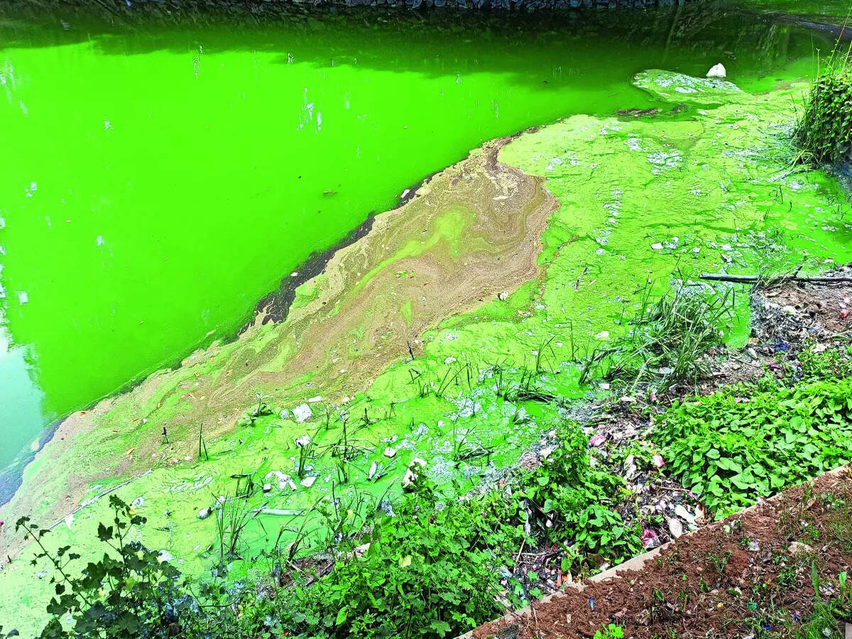 Waters of concern: Surge in polluted lakes