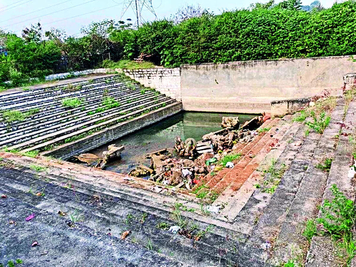kudlu lake: Floating idols of Kudlu Lake