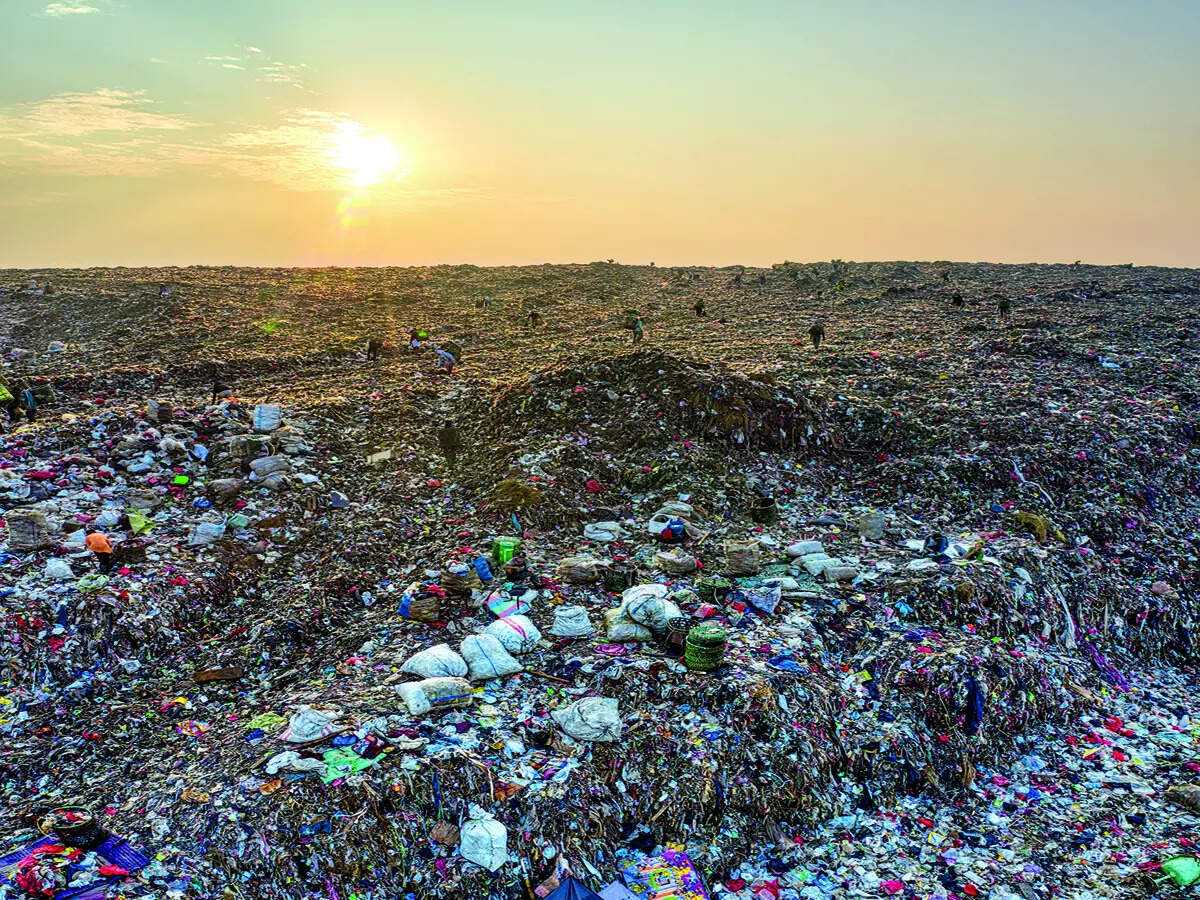 Lay off the landfill