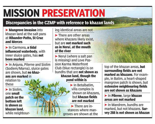 Vital to protect khazan lands in coastal plan, say activists | Goa News ...