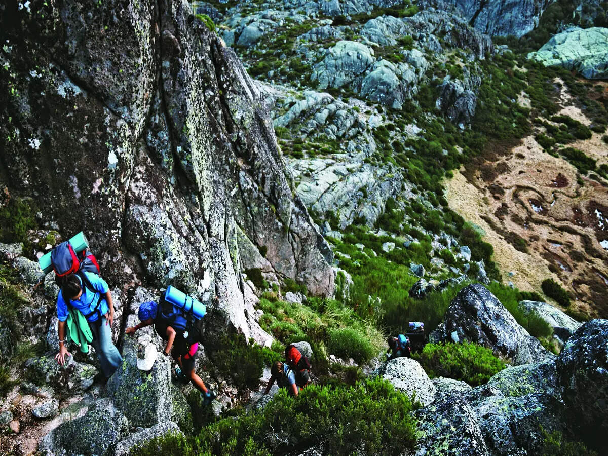 BM Trippin’ Tales: Forest department offers treks to explore Kappatagudda
