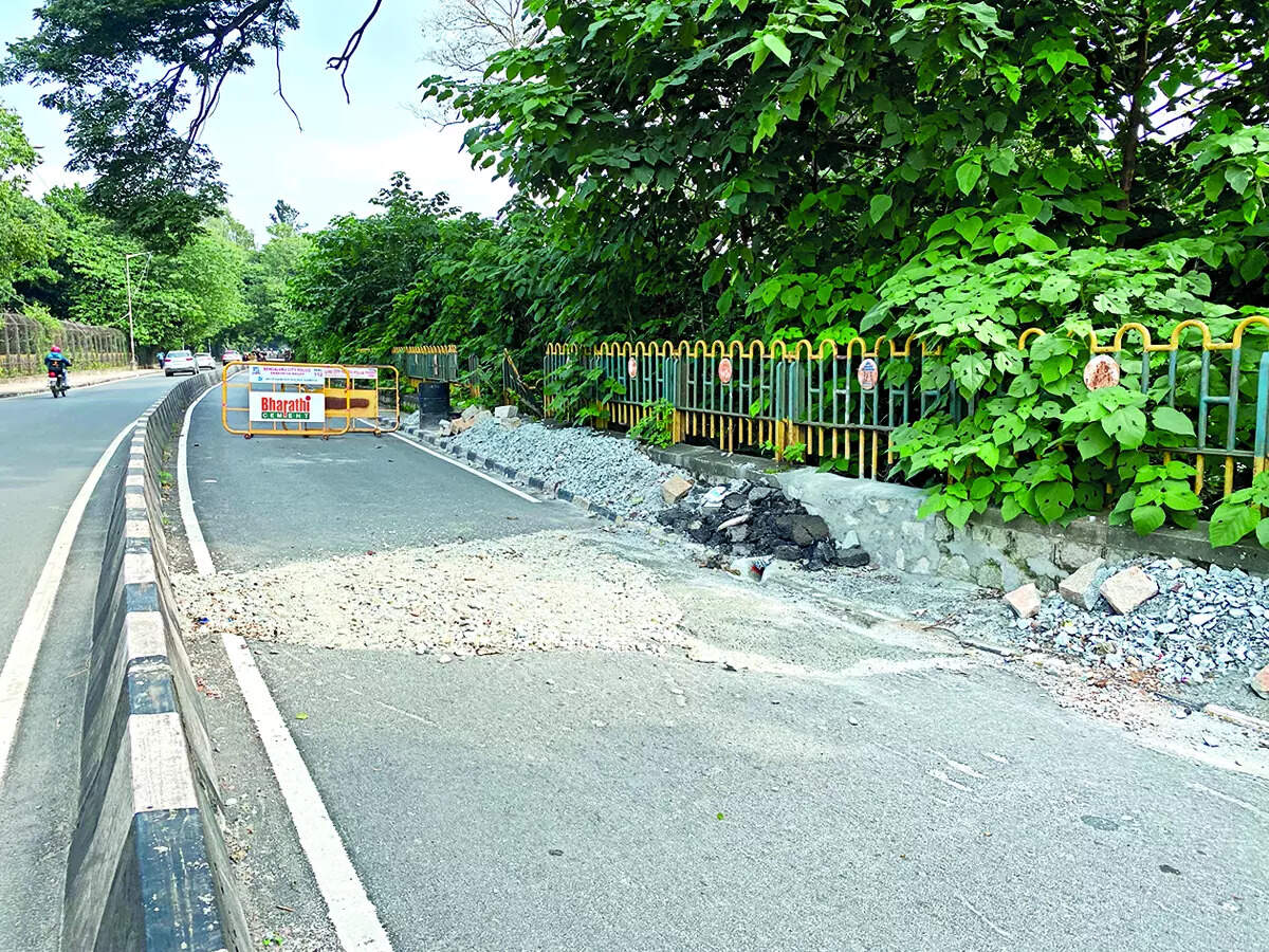 Malleswaram Mirror Special: Sinking fate of Sankey Road
