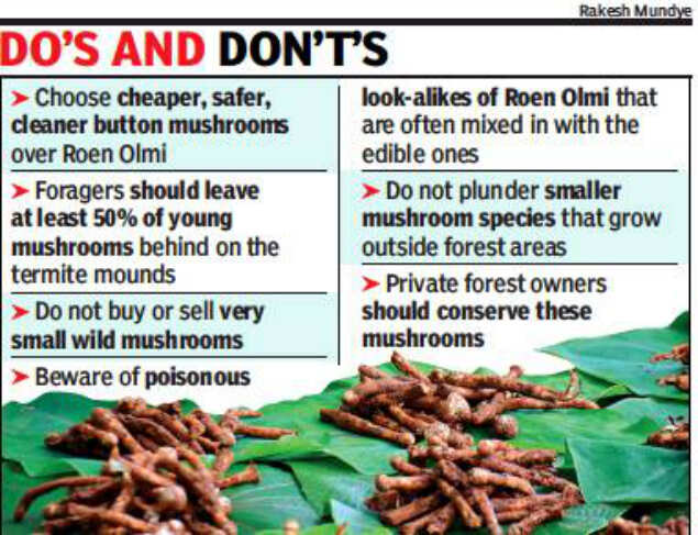 Exploiting Roen Olmi could give rise to diseases like KFD: Biodiversity ...