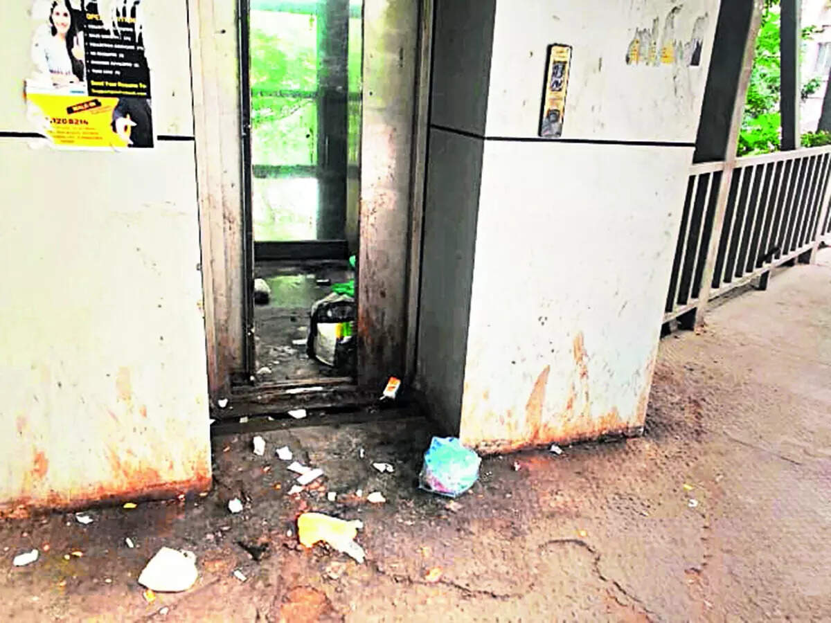 Skywalk Woes: Elevator Malfunctions and Unhygienic Conditions