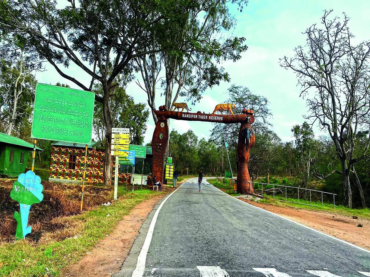 Protest against lifting Bandipur traffic ban grows stronger