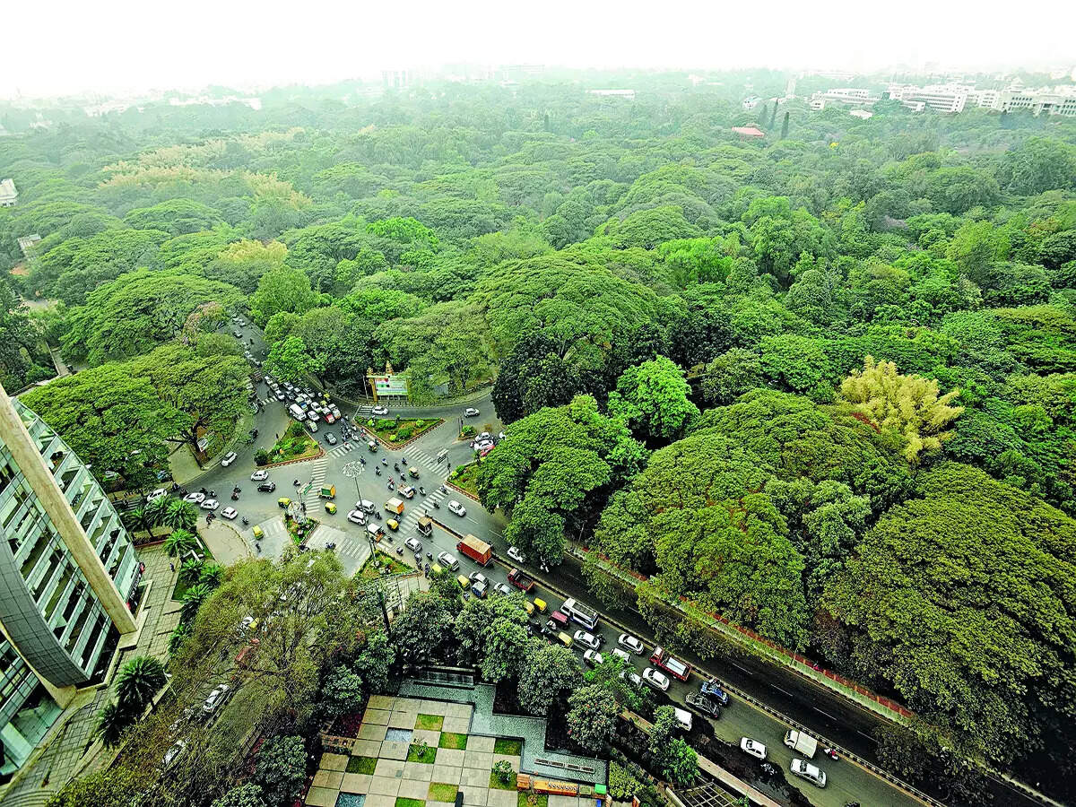 cubbon park: End to this honky-tonk business in Cubbon Park
