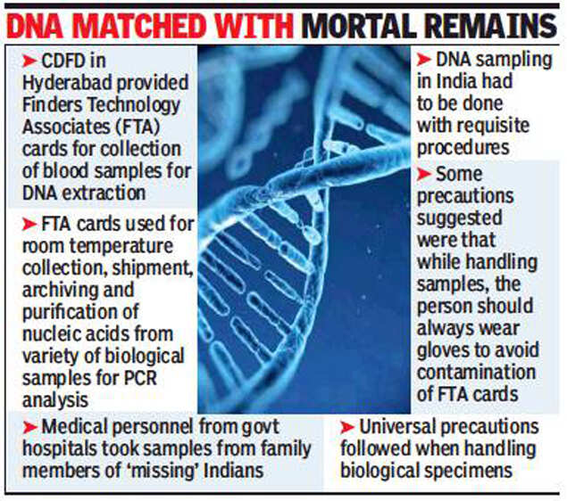 Hyderabad DNA unit helps identify Iraq bodies | Hyderabad News - Times ...