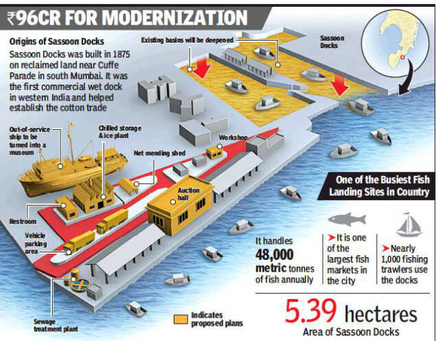 Sassoon Docks revamp to start this month, cost marked up by Rs 44 crore ...