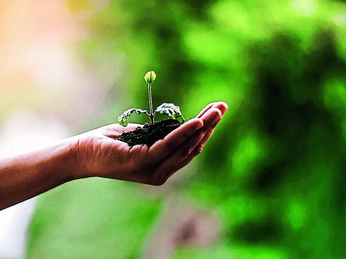 Environmental and climate clubs mandatory in schools