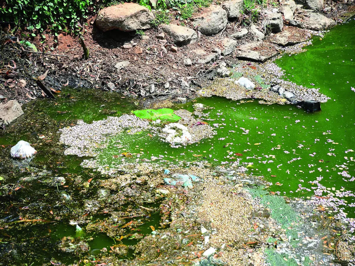 Report reveals worst water quality in 47 lakes