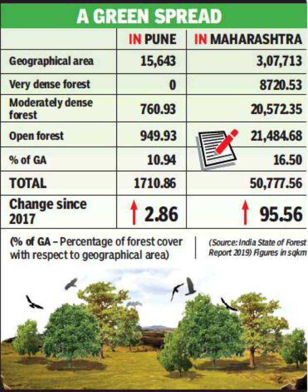 Slight rise in Pune district forest cover in 2 years | Pune News ...