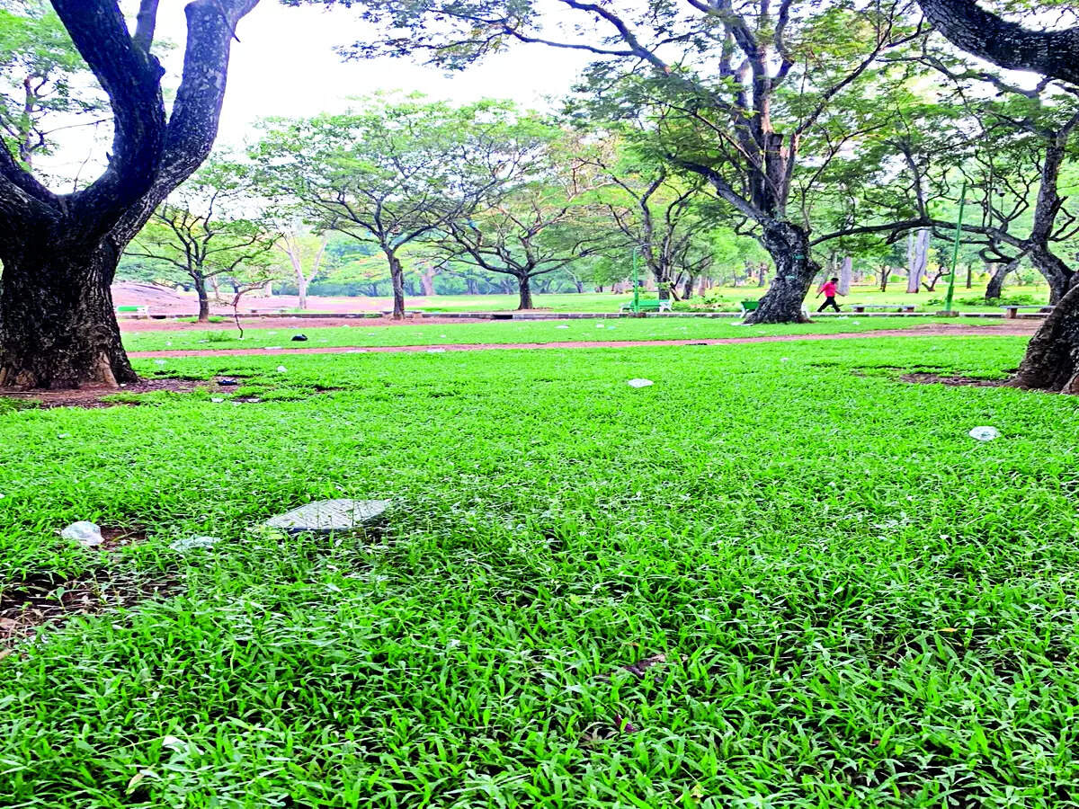 cubbon park: The litterbugs of Cubbon Park