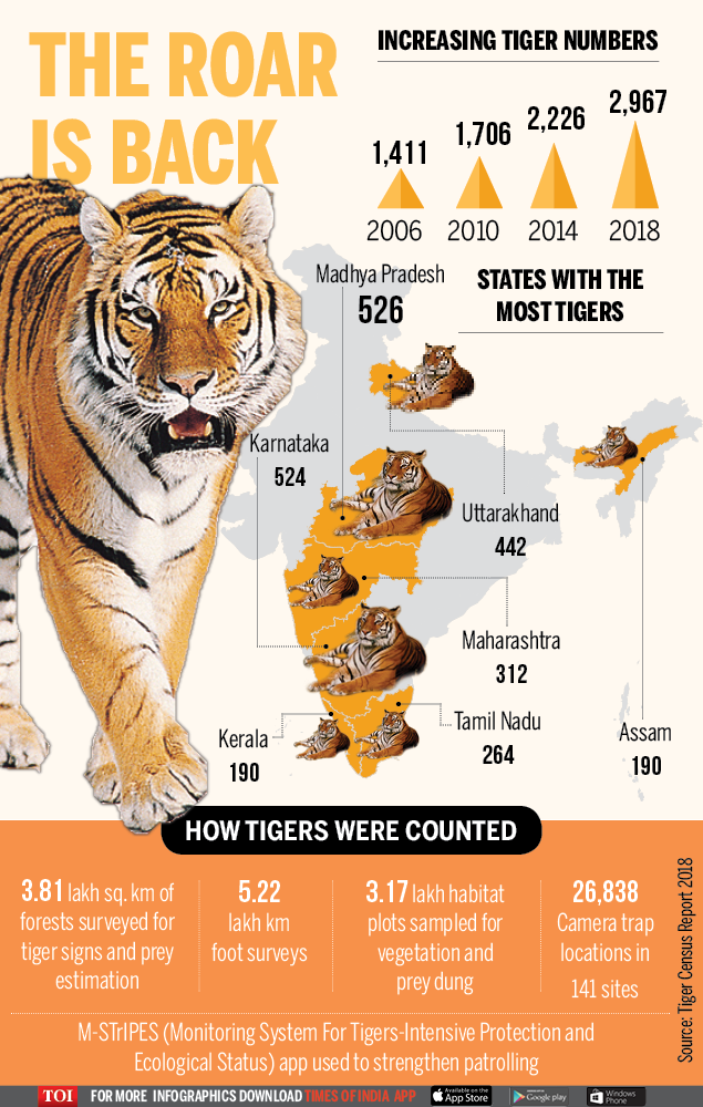 Narendra Modi: Tiger count in India at 2,967; PM Narendra Modi lauds ...