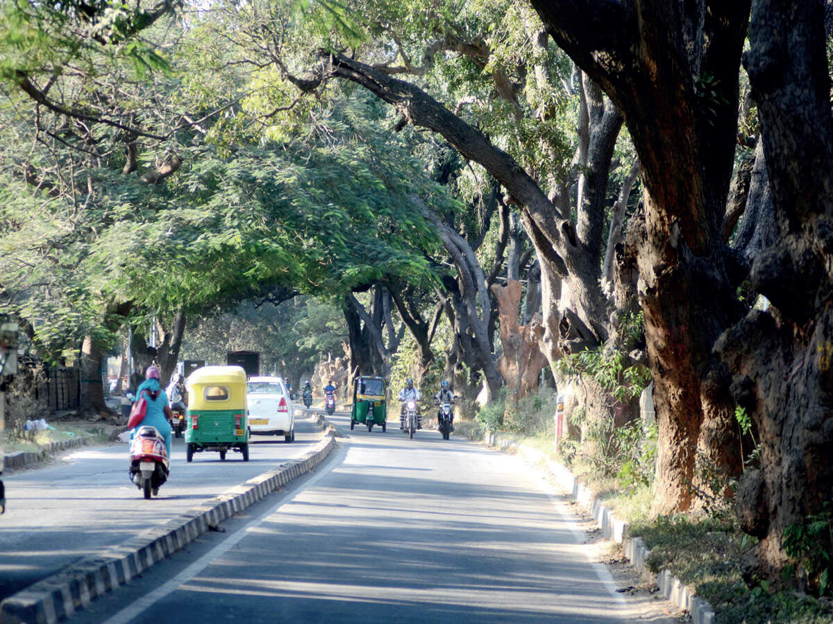 Bengaluru: 10 projects, 60,200 trees