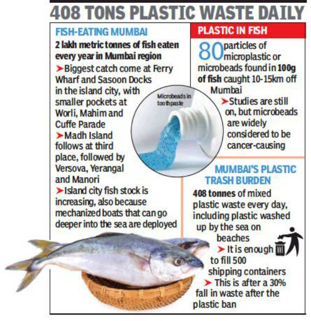 Mumbai: ‘Every 100gm of fish has 80 microplastic particles’ | Mumbai ...