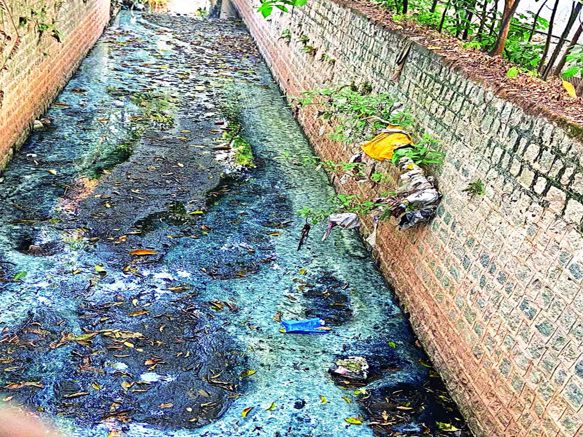 Use some spare time to complete desilting