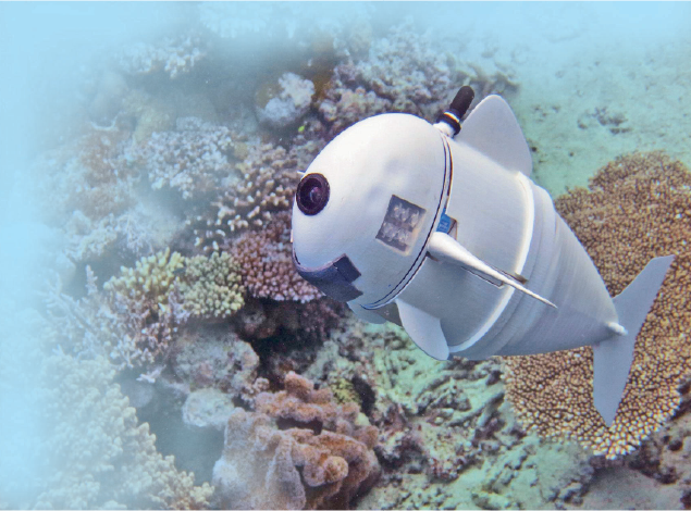 Soon, robotic fish to watch over our oceans - Times of India