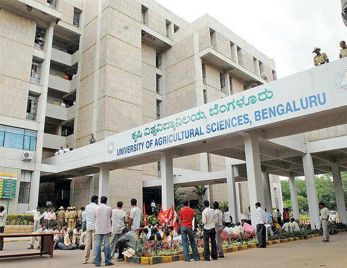 High Court censures, fines top official of GKVK