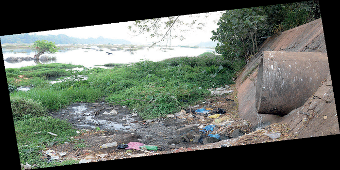 Rivers dying a dirty death: According to KSPCB, 2,473 million litres of ...