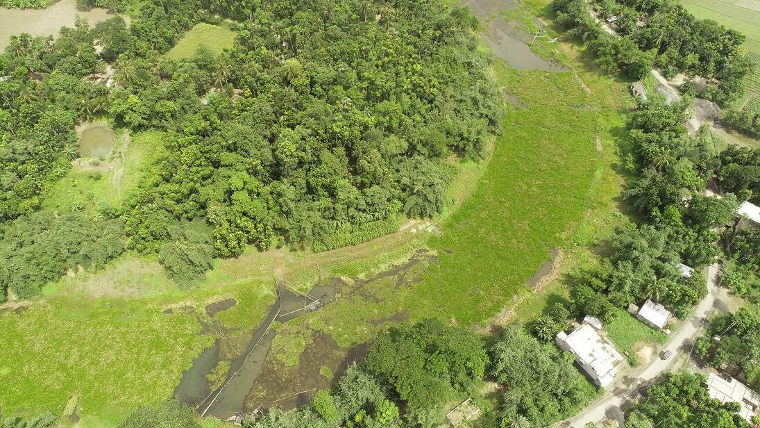 Ichamati river’s journey back to life | Kolkata News - Times of India