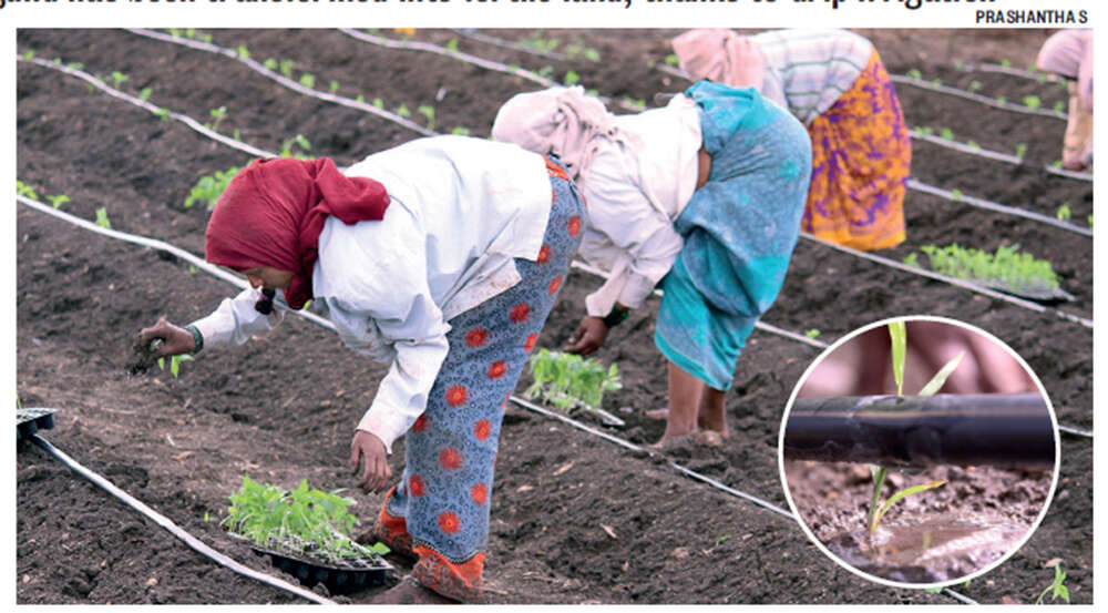 israel: Israel’s tips help state’s farmers count every drop