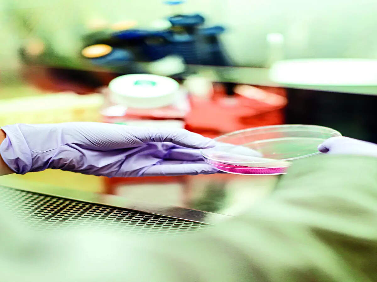 Students helping save lives, one cell at a time