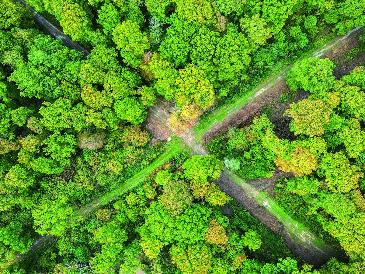 10,000 acres of forest land will be encroachment-free