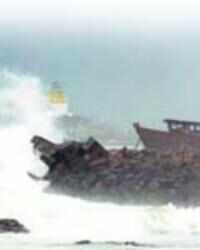 Laila takes AP by storm