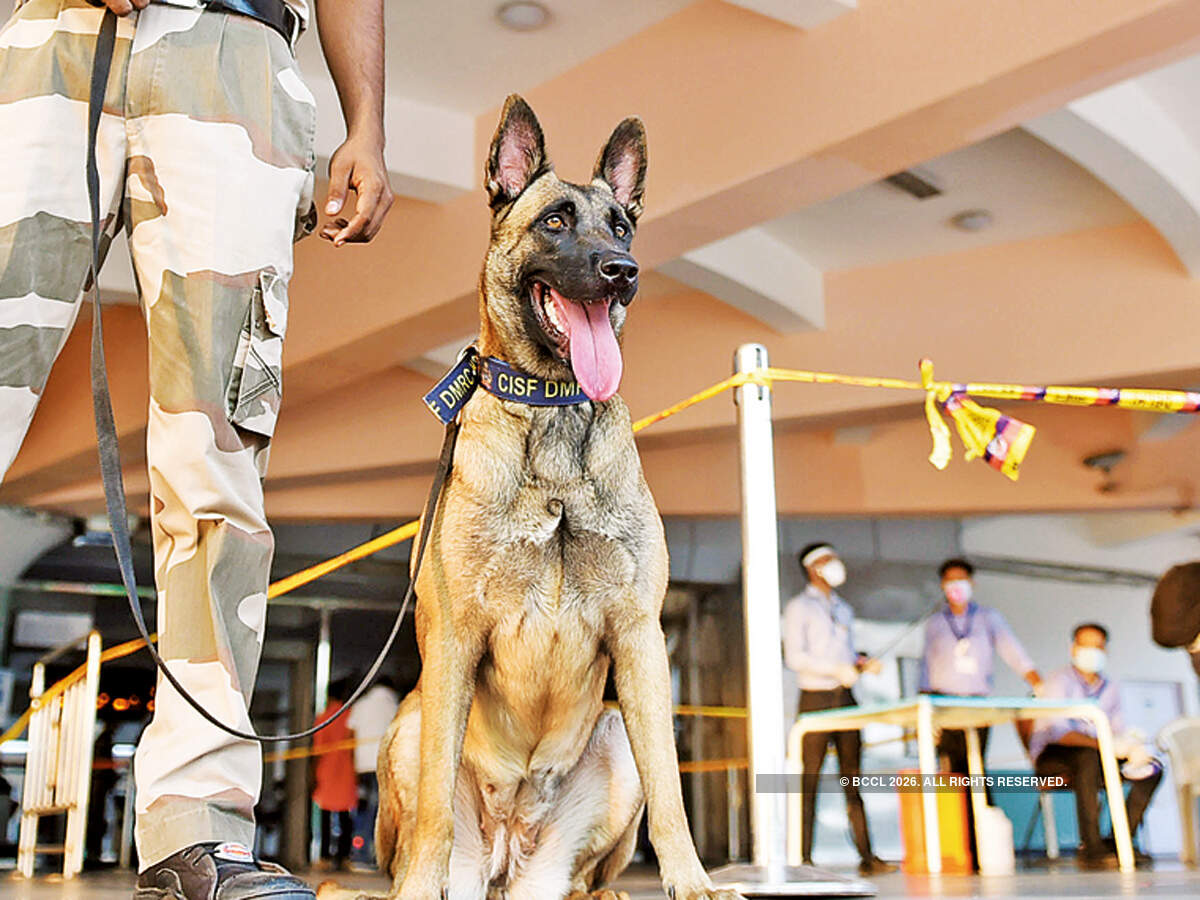 Sharp & skilled: Meet CISF's new joinees for the Metro | Delhi News ...