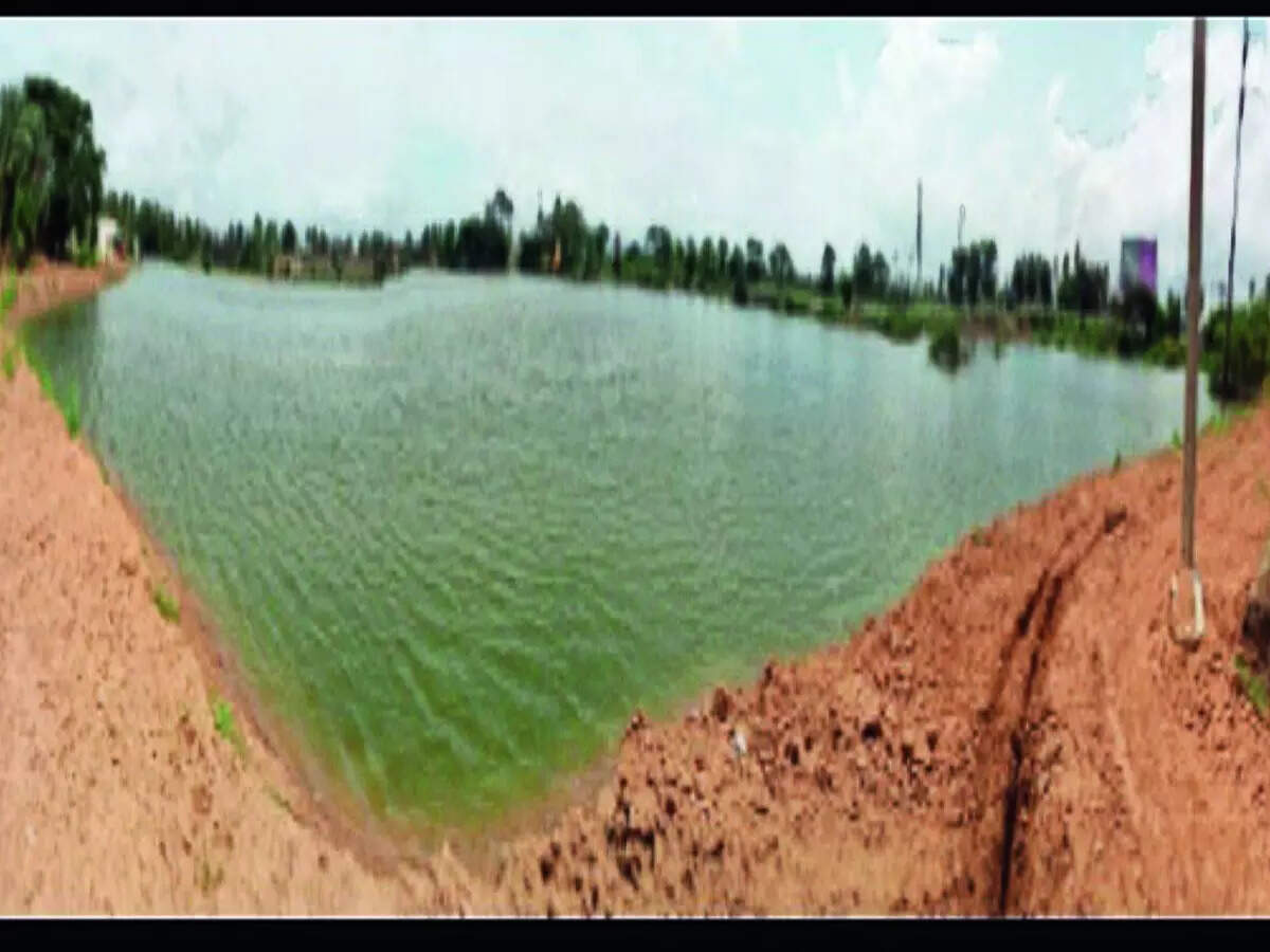 devanahalli: Water diviners of Devanahalli