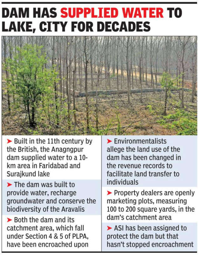 Anangpur dam: Dam key to Surajkund lake’s survival falling to land ...