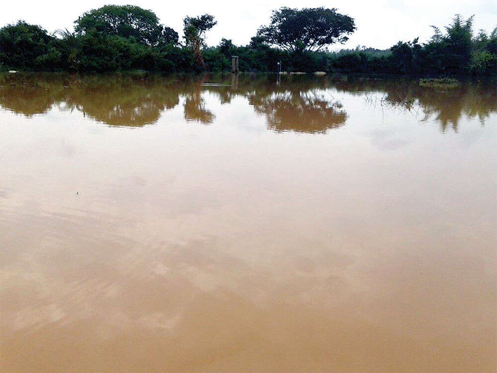Manipal will grow a forest on campus