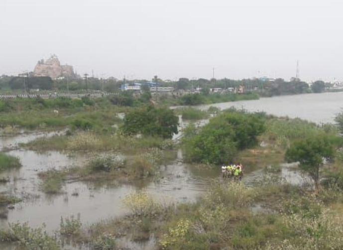 Peahen rescued from Upper Anaicut in Trichy | Trichy News - Times of India