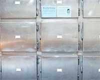 JJ Hospital morgue to be free of rats