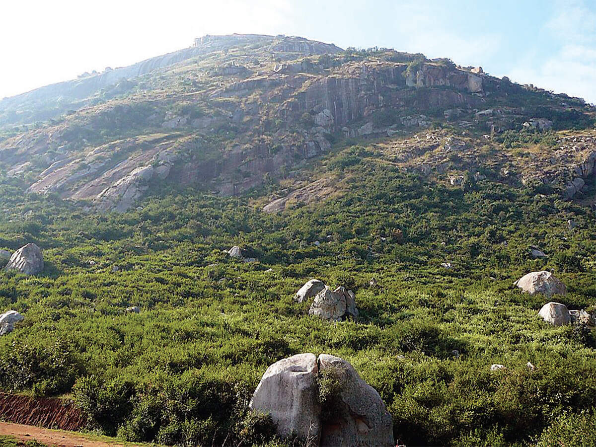 Bengaluru: State to have 26 new eco-trails