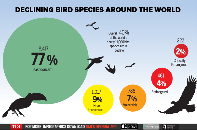 Infographic: One in 8 bird species under threat of extinction - Times ...