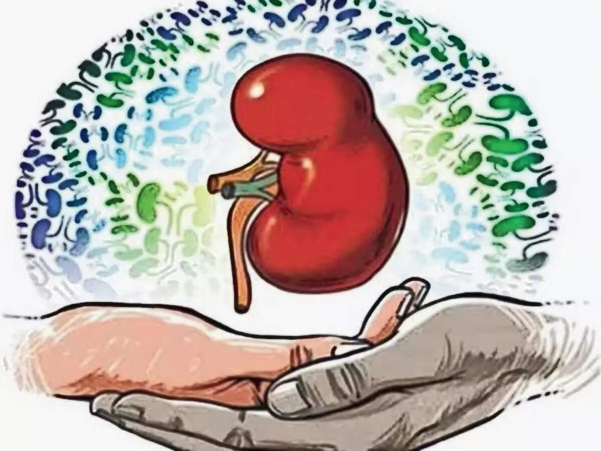 Unveiling the gender shift in organ donation