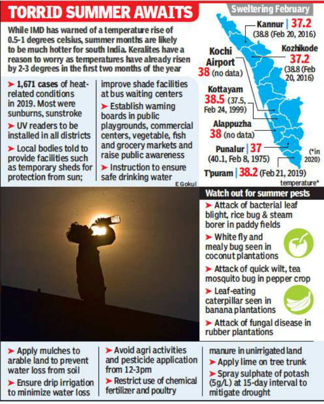 Kerala: KSDMA to announce a Heat Action Plan | Kochi News - Times of India