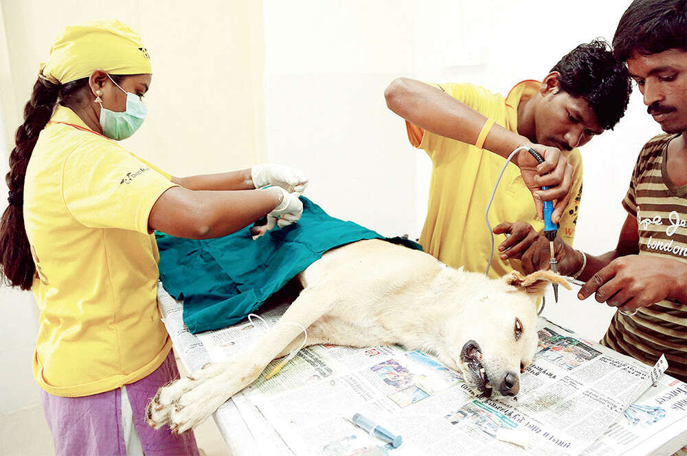 With BBMP refusing to pay up, is it the XYZ of ABC programme?